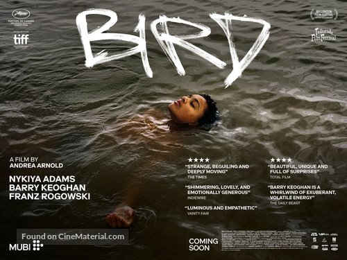 Bird – Stu Loves Film